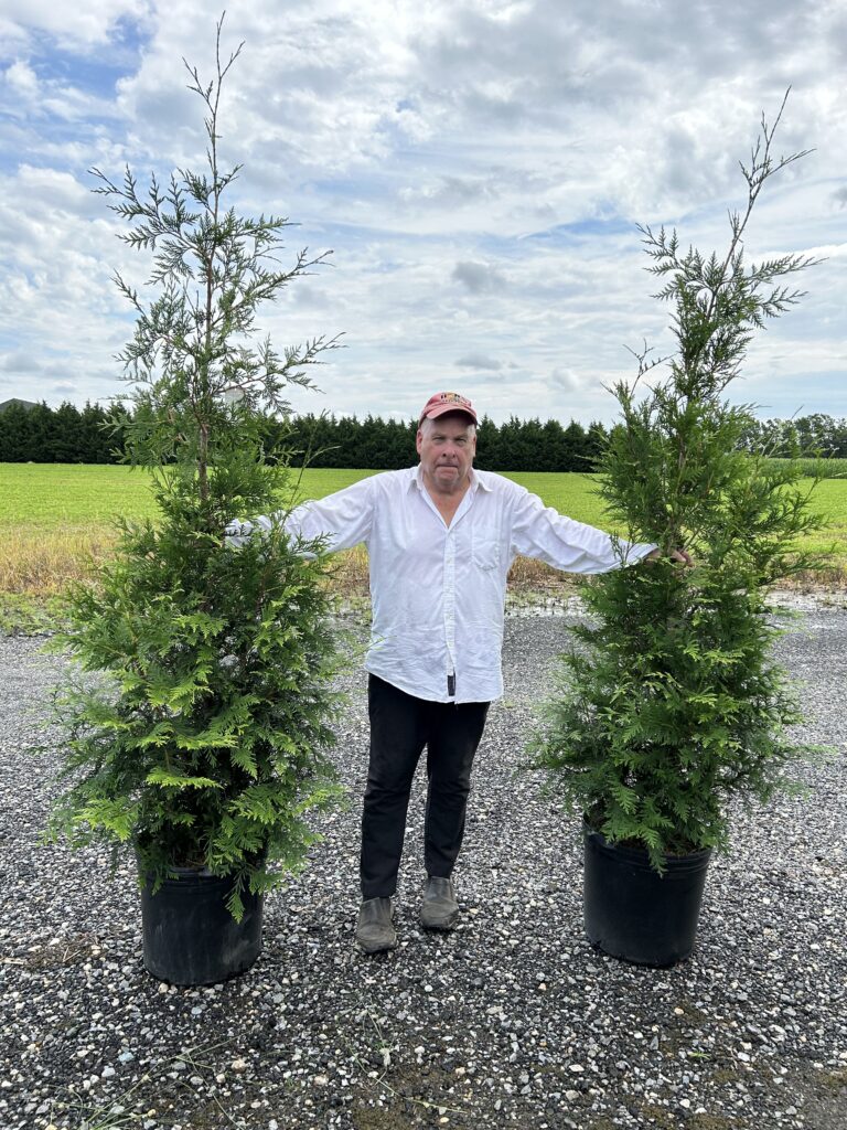 Container Trees